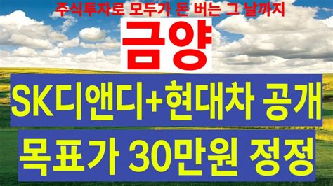 금양 금양주가 금양주가전망 인터배터리 2차전지 에코프로 에코프로머티 Sk디앤디현대차 공개 목표가 30만원 정정 Youtube