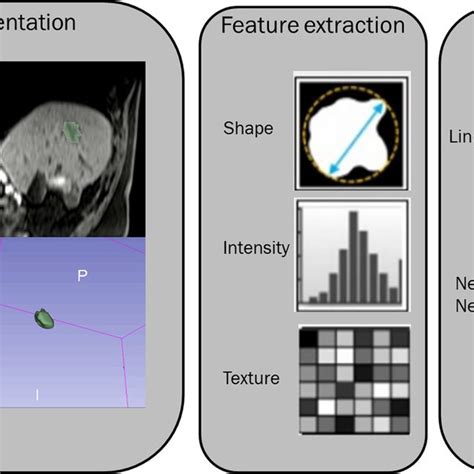 Workflow For Extraction Of Radiomic Features From Clinical Images The Download Scientific