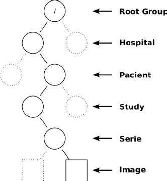 Hierarchical Data Structured Download Scientific Diagram