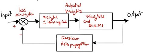 What Does Training Neural Networks Mean OVHcloud Blog