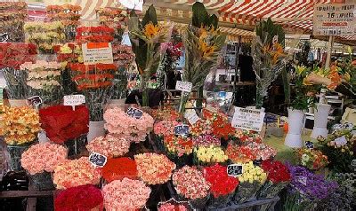 Flowers San Remo Italy 7 Things To Do In Sanremo Like A Local