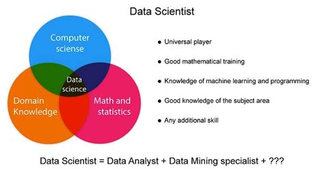 Data Analyst Vs Data Scientist Whats The Difference Custom Web Mobile Development