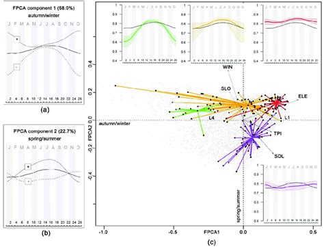 result of the functional principal component analysis fpca applied to