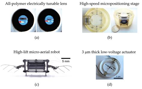 Examples Of Meso And Micro Scale Deas A All Polymer Electrically