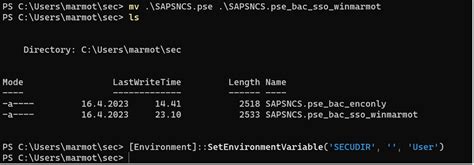 Snc Encryption And Sso For Sapgui On Windows 11 Vi Sap Community