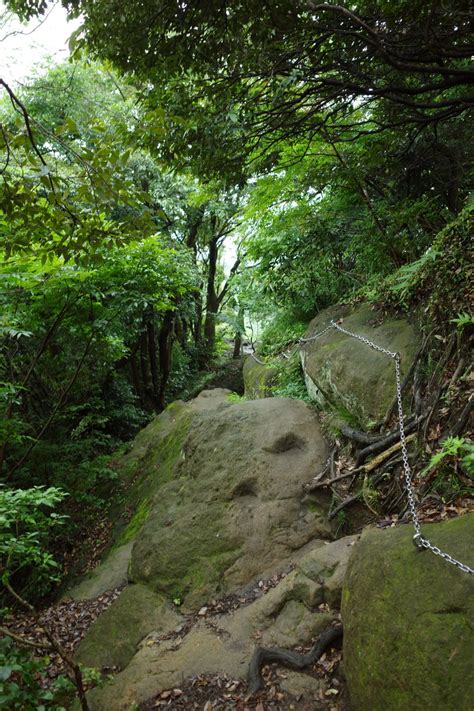 しろ on Twitter 200mもないのにしっかり鎖場もある鷹取山の登山道です