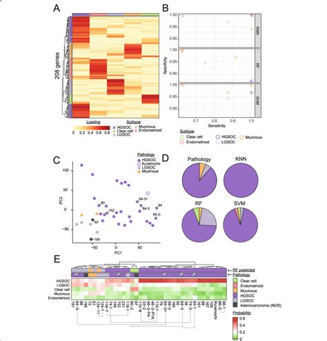 Ability Of A K Nearest Neighbour Classifier To Predict Subtype Of Download Scientific Diagram