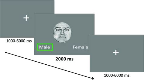 Implicit Emotion Processing Task The Happy Fearful And Neutral Faces Download Scientific
