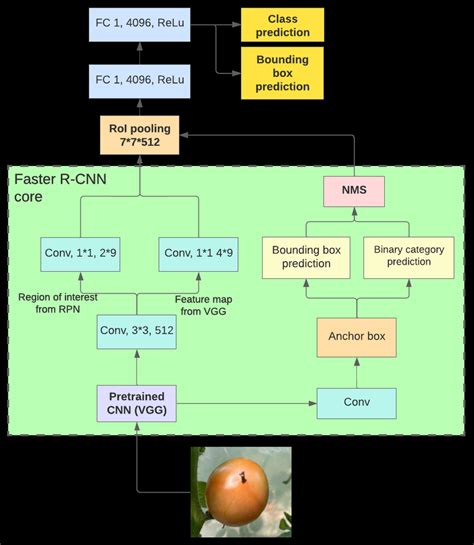 Details Of The Mask Rcnn Architecture In 4a And Its Implementation In Download Scientific