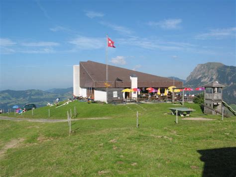 First - Galerie