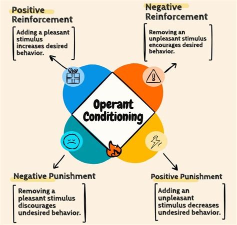 Operant Conditioning B F Skinners Theory And Examples