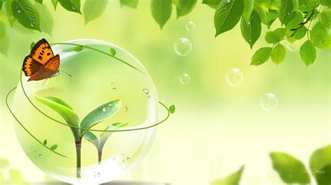 Красивый фон для презентации по биологии фото и картинки Abrakadabra Fun