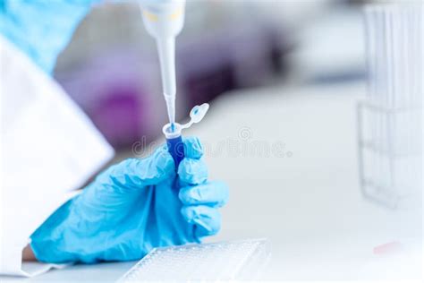 Biochemical Analysis And Chemical Analysis In Lab Stock Image Image Of Analysis Food