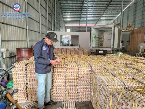 ស៊ុតមាន់ជាង ៨ ០០០គីឡូក្រាម ត្រូវបានមន្រ្តីជំនាញ ក ប ប យកទៅកម្ទេចចោល