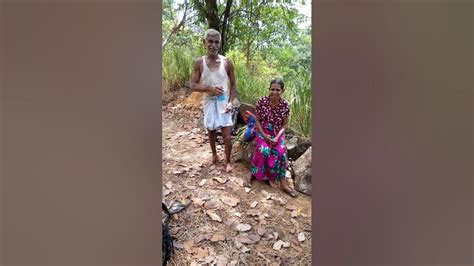 මැදකැලේ ඔවුන් දෙපල සදා සමගියෙන් ගමන පයින් Srilanka Youtube