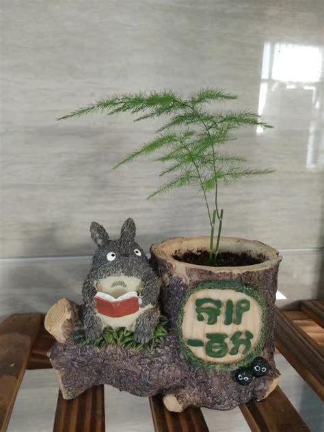 緊張的假期里花花草草才是我的最愛 每日頭條