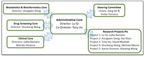 Investigators Tulane Personalized Health Institute
