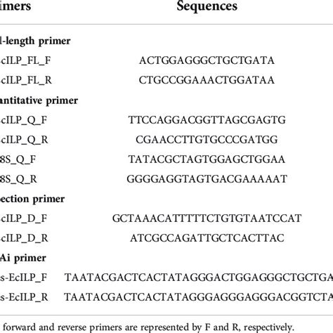 The Primers Used In This Paper Download Scientific Diagram