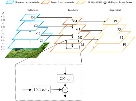 Semantic Segmentation Of Cucumber Leaf Disease Spots Based On Eca Segformer