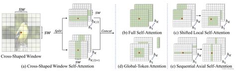 transformer发展历程 decoder输出特征利用dct解码投分割 csdn博客