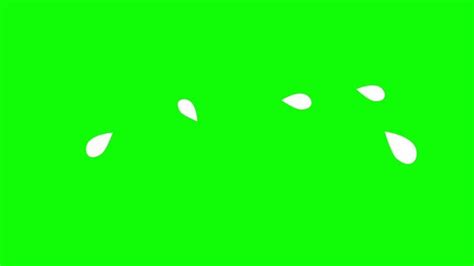 Cartoon Crying Eyes Green Screen Motion Graphics 4k Animation Chroma
