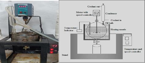 Schematic Diagramme Of Transesterification Reactor Download