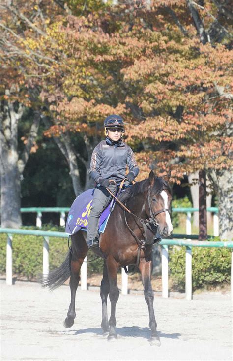天皇賞・秋3着のダノンベルーガ、レーティング2位でジャパンc繰り上がり 当初は除外対象― スポニチ Sponichi Annex ギャンブル