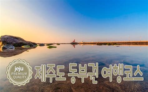 제주도 동부권 여행코스 섭지코지 바다목장 네이버 블로그