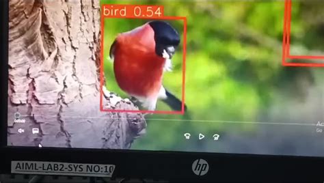 Karicharla Devendra Phani On Linkedin Object Detection Aimer Society