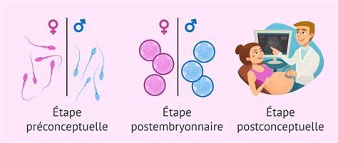 Méthodes de sélection du sexe comment avoir un garçon ou une fille