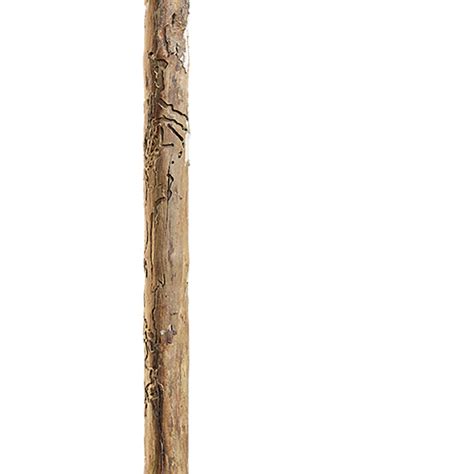 Artstation Branch Seamless Texture Patterns 2k 2048 2048 Exr 5  5 File Formats