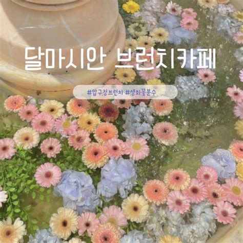 테라스의 계절 지금 너무 예쁜 압구정 달마시안 브런치 카페 네이버 블로그