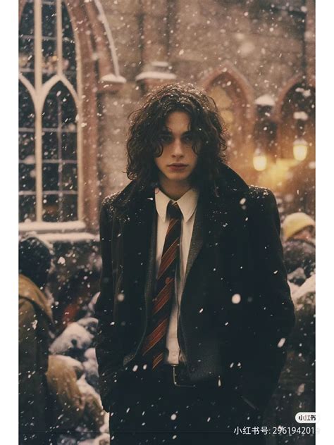 哈利波特 Ai 小天狼星 高清图片，堆糖，美图壁纸兴趣社区