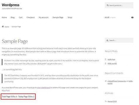 How To Display Total Views On Wordpress Posts