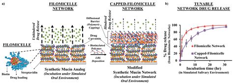 Synthetic Polymers Structure