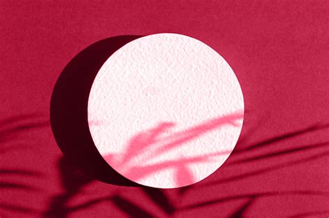 기하학적 형태의 추상 최소 장면 열대 야자수 잎의 그림자가 있는 자홍색 배경에 있는 원통형 흰색 연단 코스메틱 포드룩을 보여주는