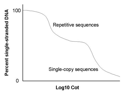 Cot Analysis Alchetron The Free Social Encyclopedia