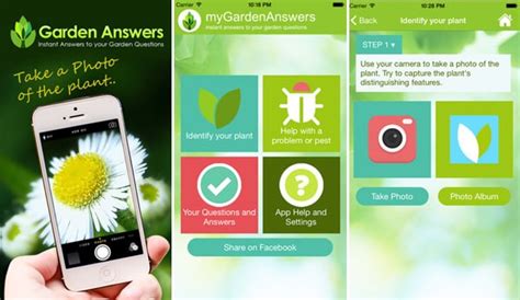 How You Can Master Vegetation Identification Barn No Hele Norges Barneportal