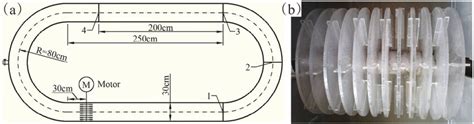 Elongated Annular Flume A Schematic Diagram Of The Elongated Annular Download Scientific