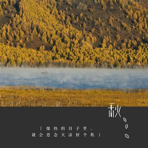 秋色正濃時 多彩阿爾山 每日頭條