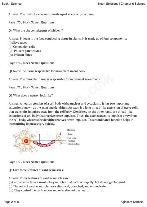 NCERT Solutions For Class 9 Science Chapter 6 Tissues AglaSem Schools