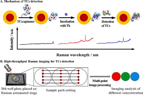 Surface Enhanced Raman Spectroscopy Sers Imaging For High Throughput