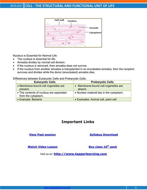 PPT ICSE Class X Biology Cell The Structural And Functional Unit Of Life PowerPoint