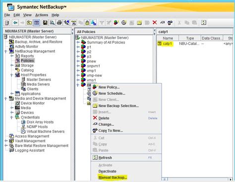 Remote Infrastructure Management Netbackup 772 Catalog Administration