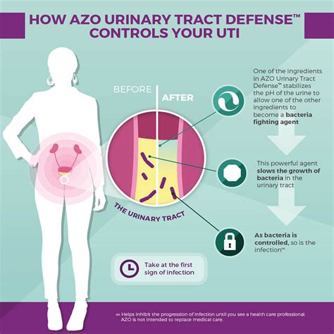 Azo Urinary Tract Defense Tablets Buy Antibacterial And Pain Relief