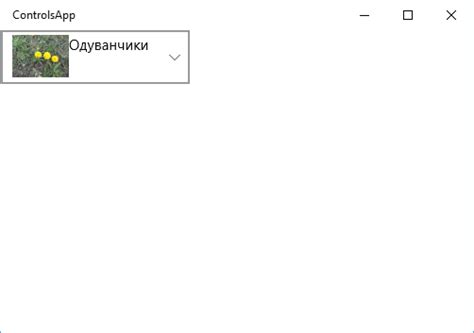 UWP ComboBox