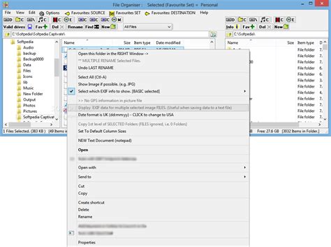 File Organiser Download Free Windows 1910 Softpedia