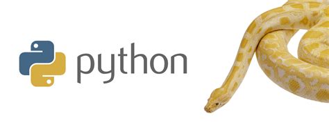 Can You Use Python For Website Development A Guide To Help You Decide
