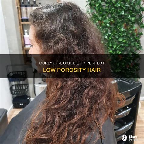 Curly Girls Guide To Perfect Low Porosity Hair Shunsalon