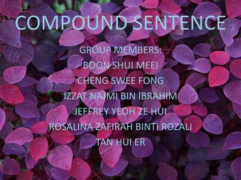 Basic Sentence Patternswithe Doc